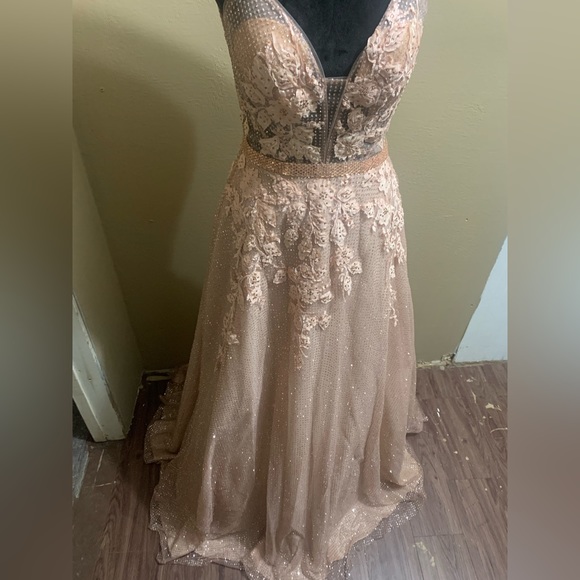 Juliet Dunn | Dresses | Juliet Rose Gold Sheer Maxi Dressopen Back ...